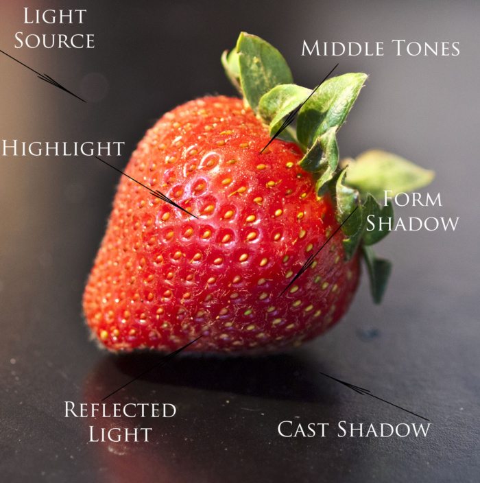 How to paint realistic shadows in colored pencil, graphite and paint ...