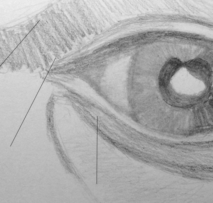 6 drawing mistakes & how to fix them fast! - Veronica Winters Painting