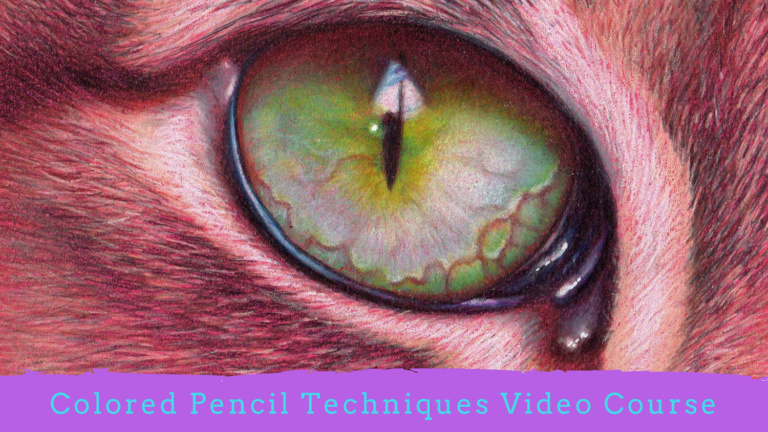 How to draw glass in colored pencil - Veronica Winters Painting