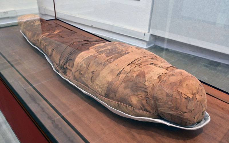 Ankhekhonsu: A 3,000-Year-Old Priest's Mummy in Bergamo - Veronica ...